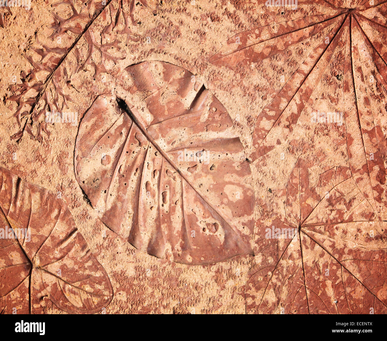 Concrete marks hi-res stock photography and images - Alamy