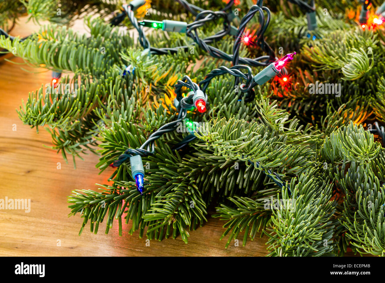 Multicolor Chtistmas lights on evergreen branches Stock Photo - Alamy