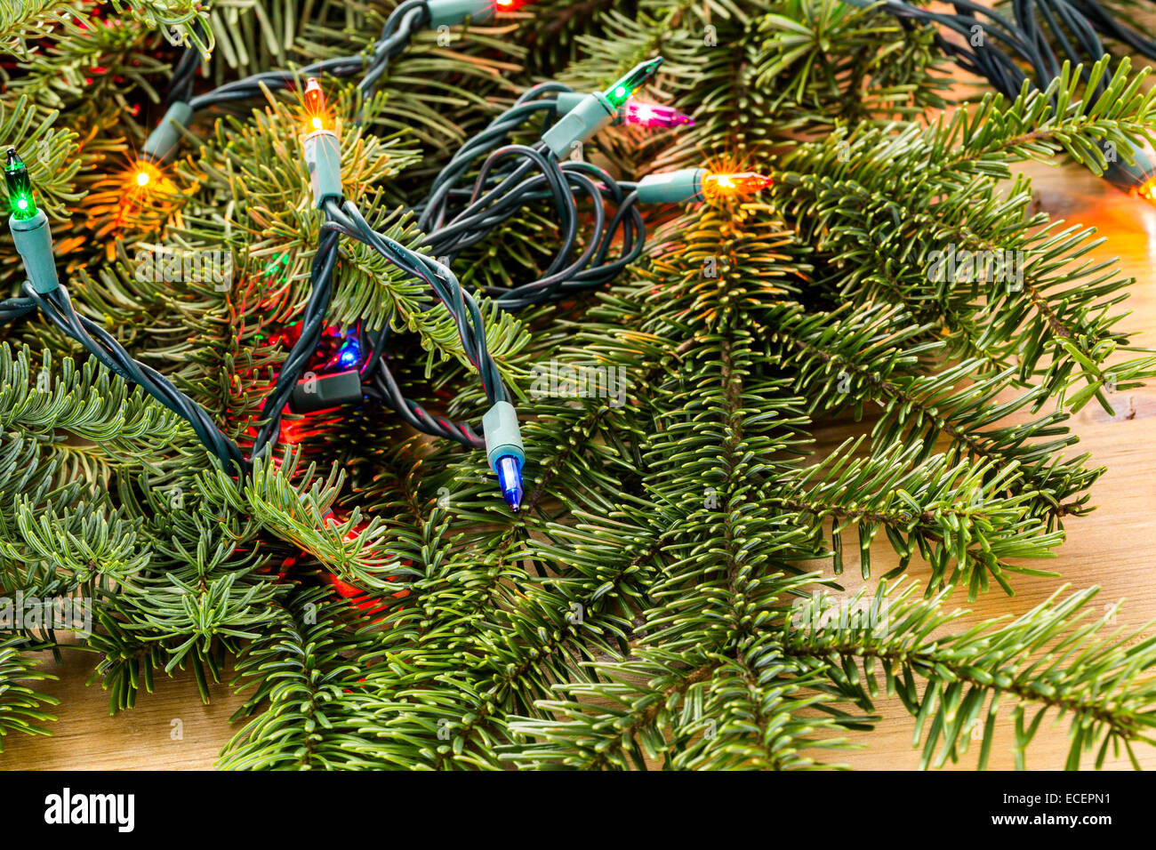 Multicolor Chtistmas lights on evergreen branches Stock Photo - Alamy