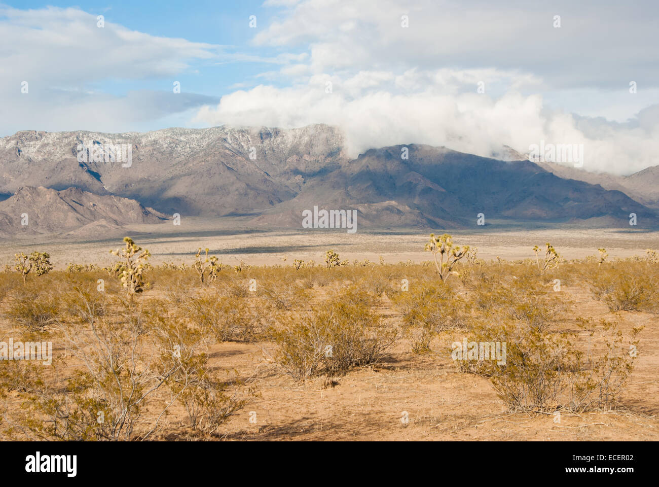 Winter storm over desert landscape Stock Photo - Alamy