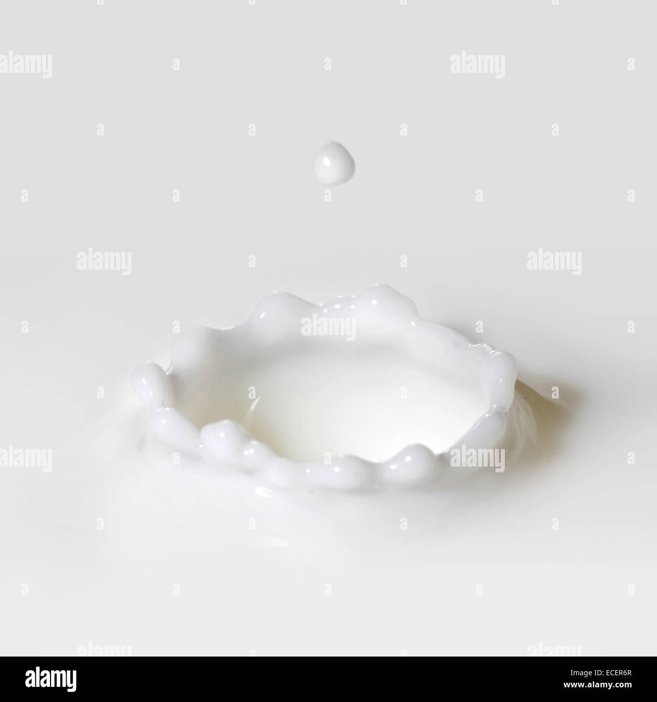 Milk circle splash hi-res stock photography and images - Alamy