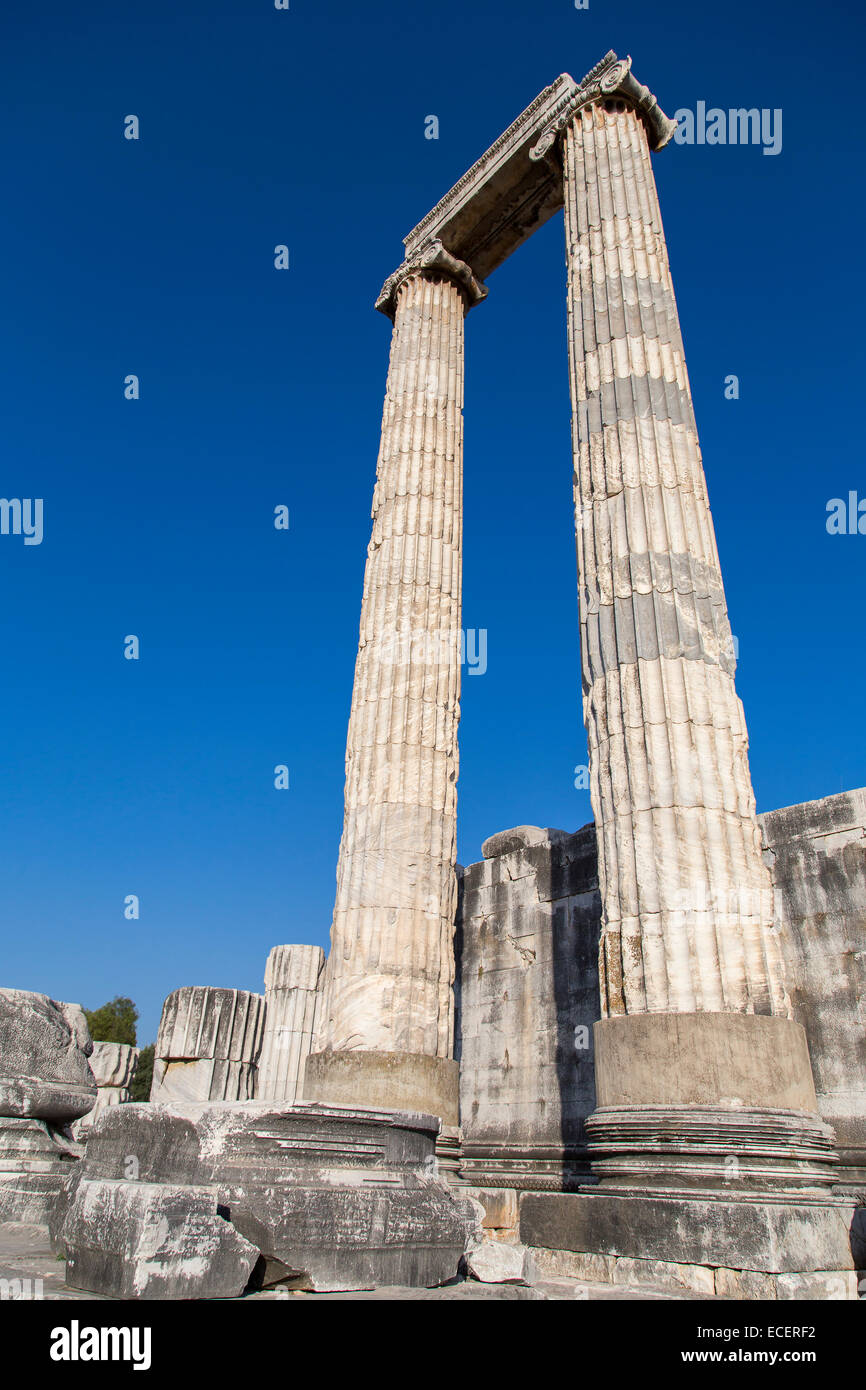 Temple of Apollo columns in Didyma antique city Didim Turkey 2014 Stock ...