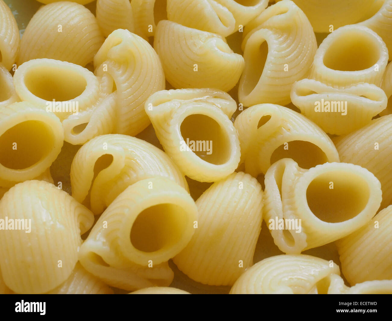 Snails macaroni pasta traditional mediterranean food from Italy Stock ...