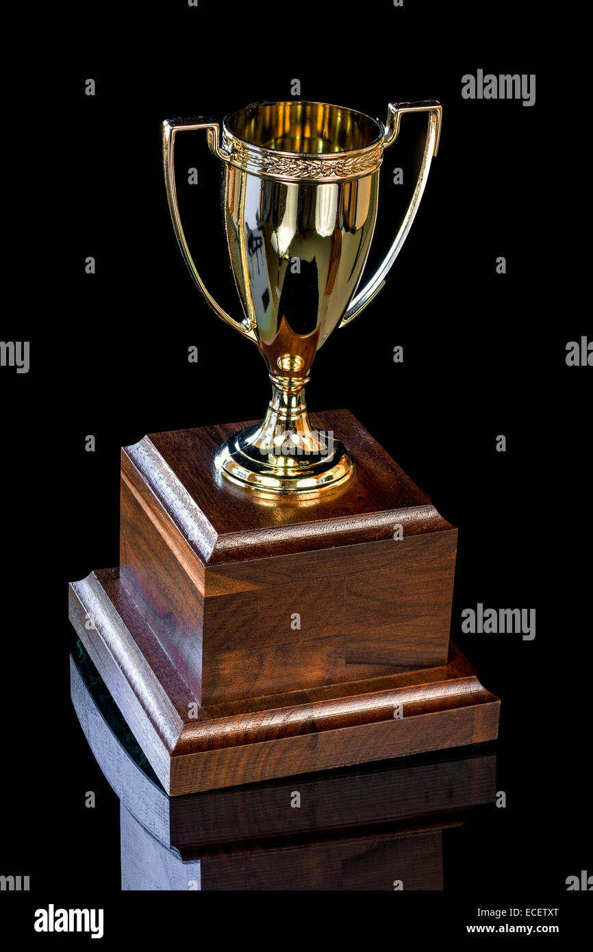 Single trophy cup on a wood block Stock Photo - Alamy