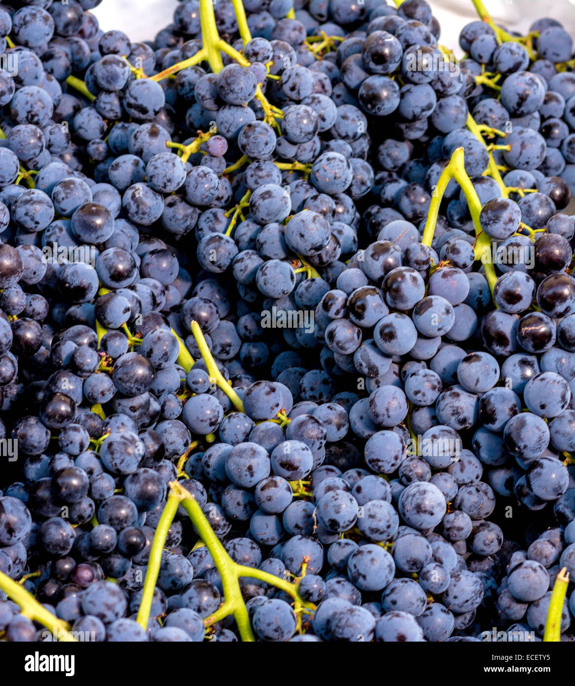 Grapes and fruit hi-res stock photography and images - Alamy