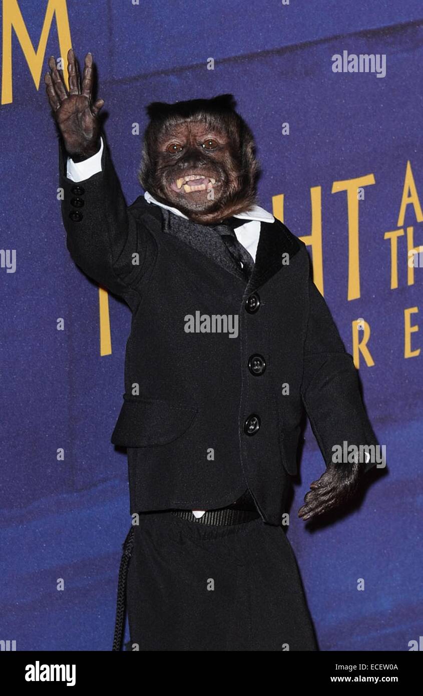 New York, NY, USA. 11th Dec, 2014. Crystal, monkey at arrivals for ...