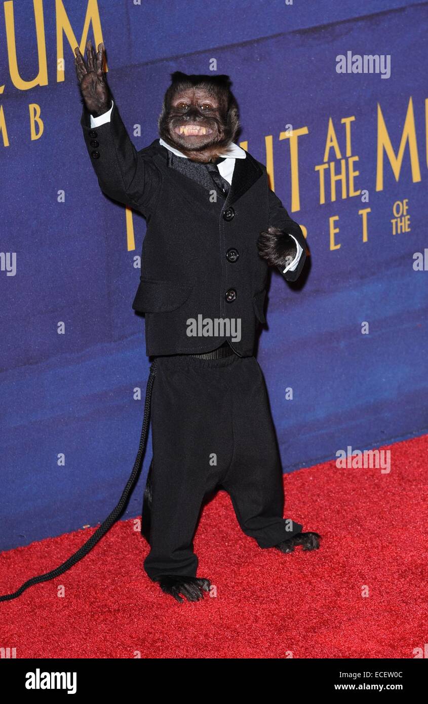 Night At The Museum Monkey