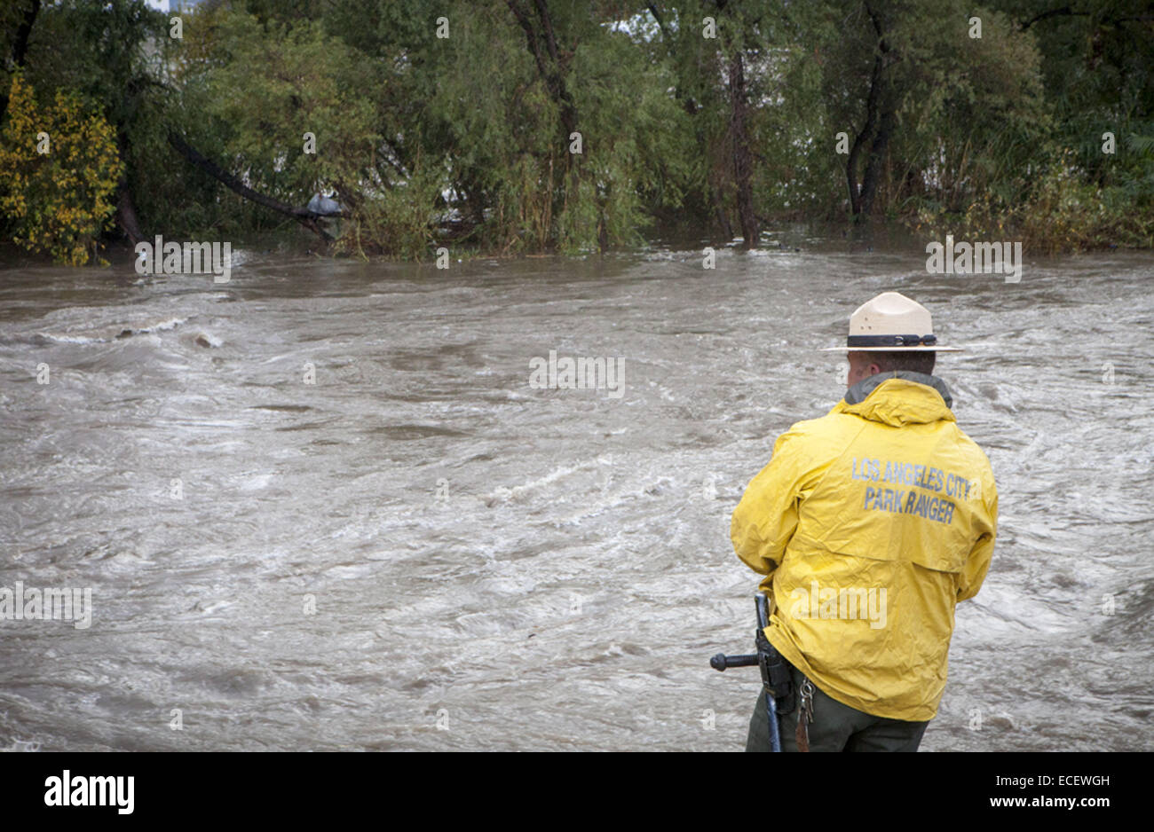 Los Angeles, CALIFORNIA, USA. 12th Dec, 2014. A park rangers keep watch ...