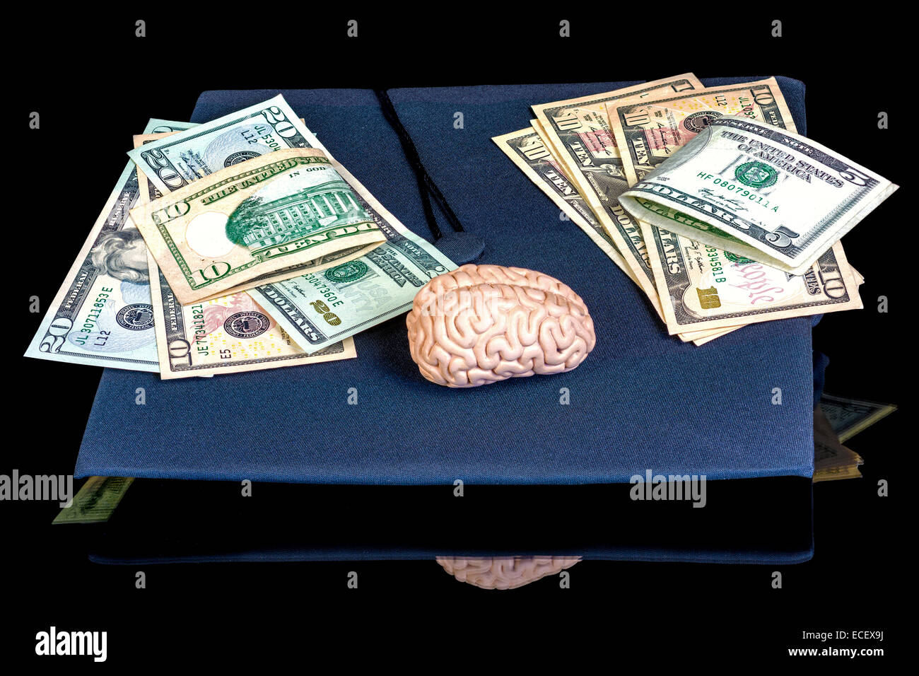 Brain graduation cap hi-res stock photography and images - Alamy