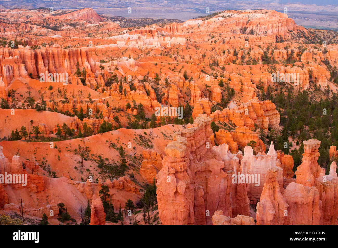 Scenic view of hoodoos and other limestone rock formations at Bryce ...