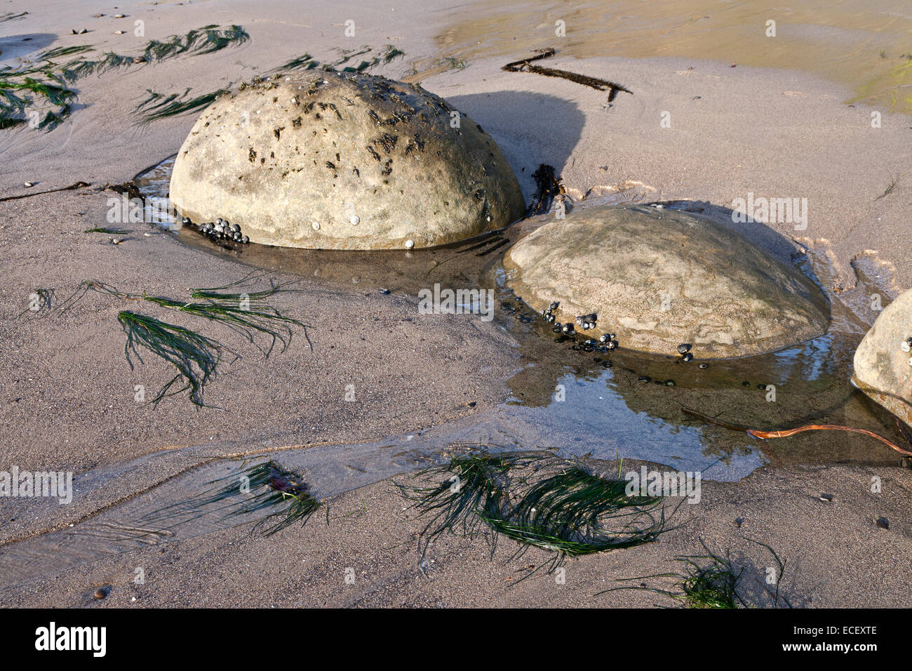 Spherical Sandstone Concretions High Resolution Stock Photography and ...