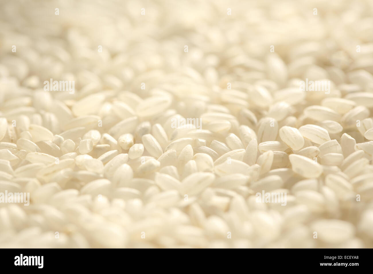 White rice as background Stock Photo - Alamy