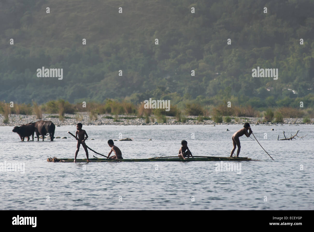 Indigenous boys pushing a bamboo raft on the Cagayan River in Luzon ...