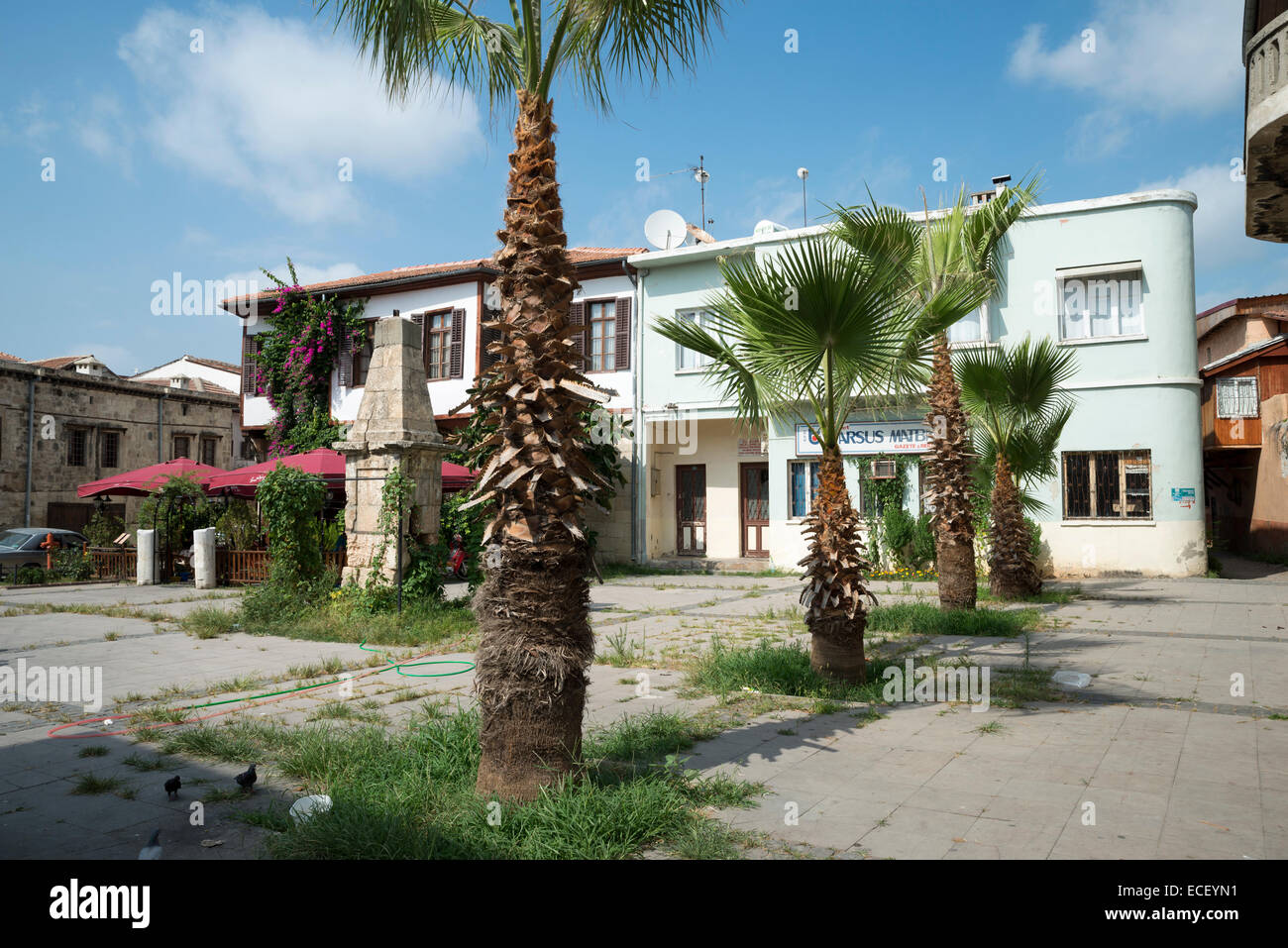 Tarsus hi-res stock photography and images - Alamy