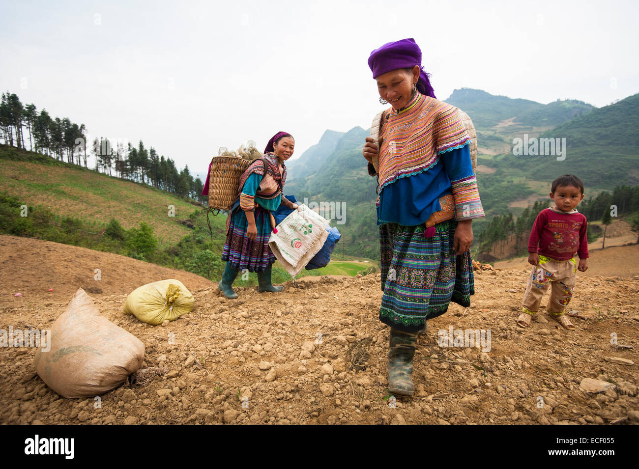 Ecf055 hi-res stock photography and images - Alamy