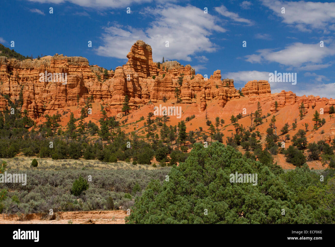 Pink Claron Limestone rock formations at Red Canyon in the Dixie ...
