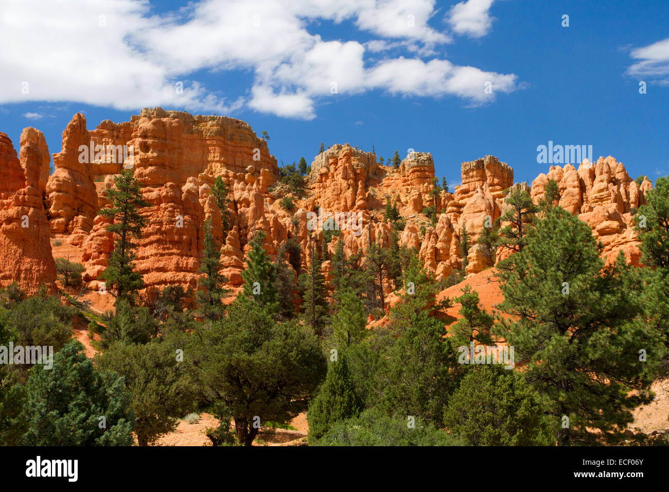 Rock formations forest hi-res stock photography and images - Alamy