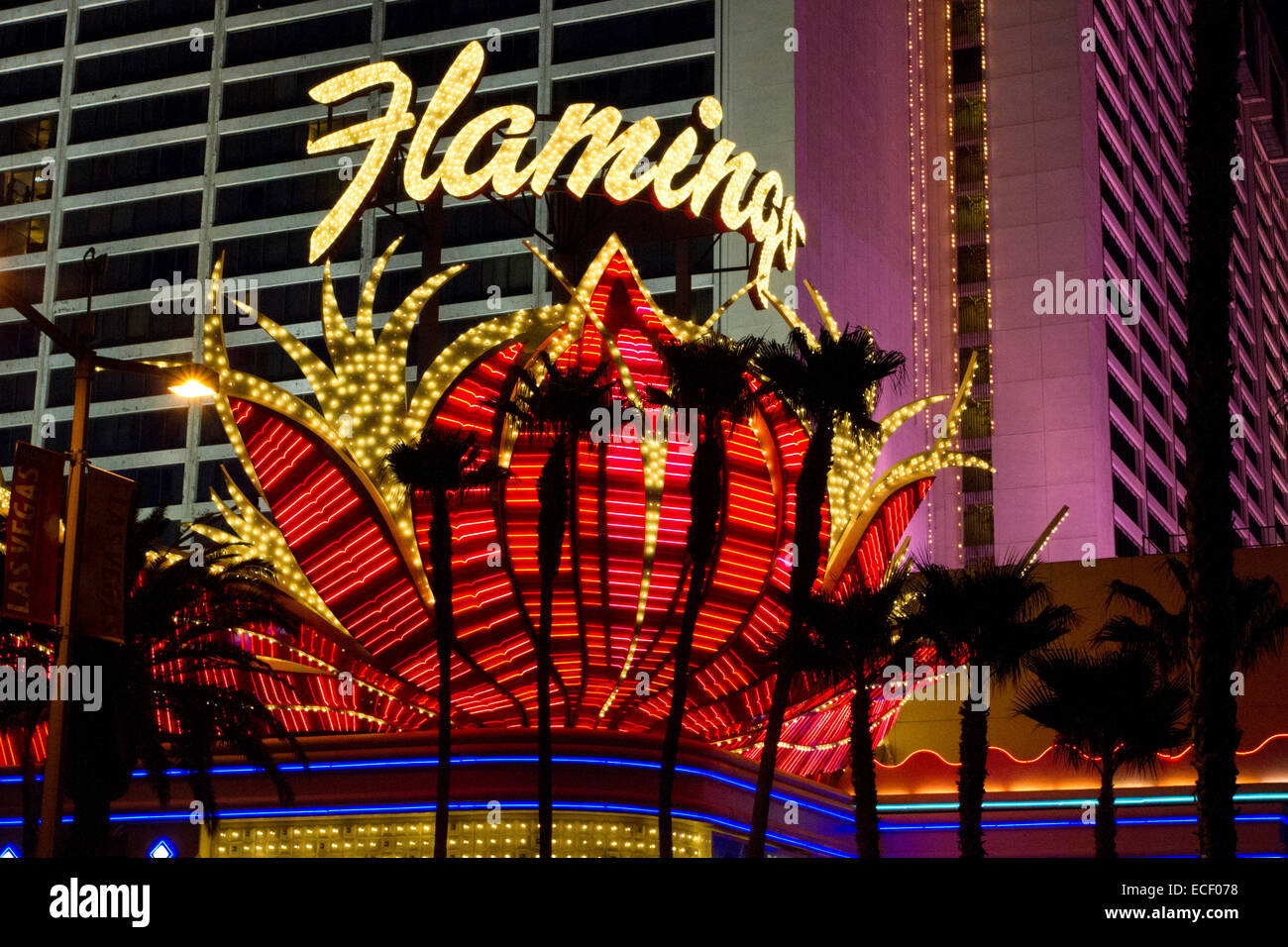 Flamingo las vegas neon hi-res stock photography and images - Alamy