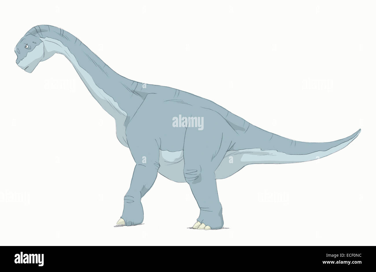 Camarasaurus pencil drawing with digital color Stock Photo - Alamy