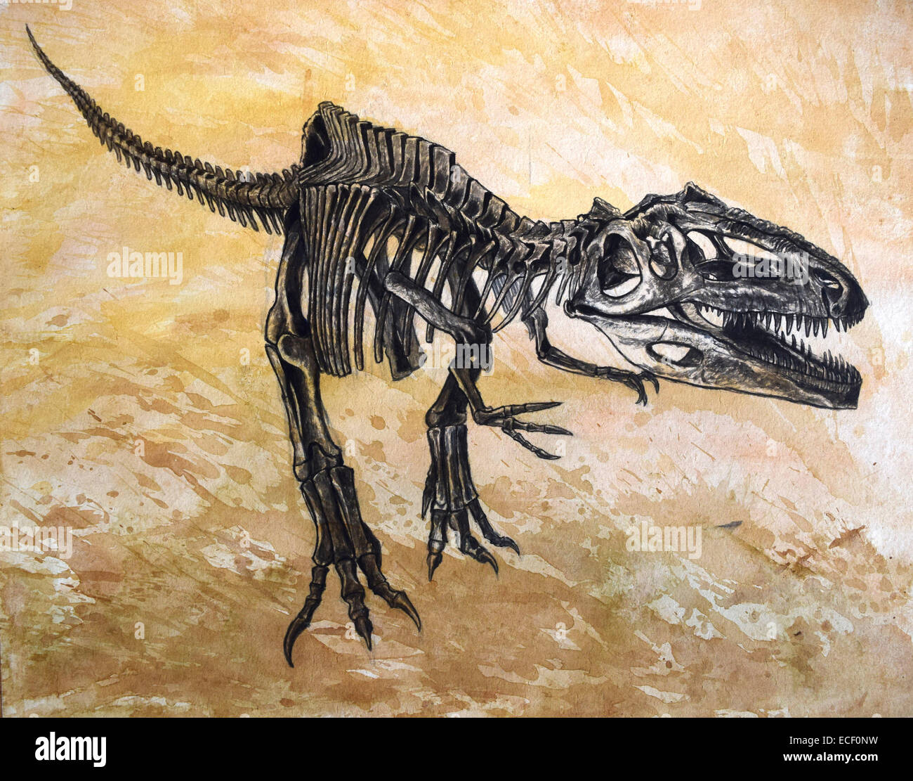 Giganotosaurus High Resolution Stock Photography and Images - Alamy