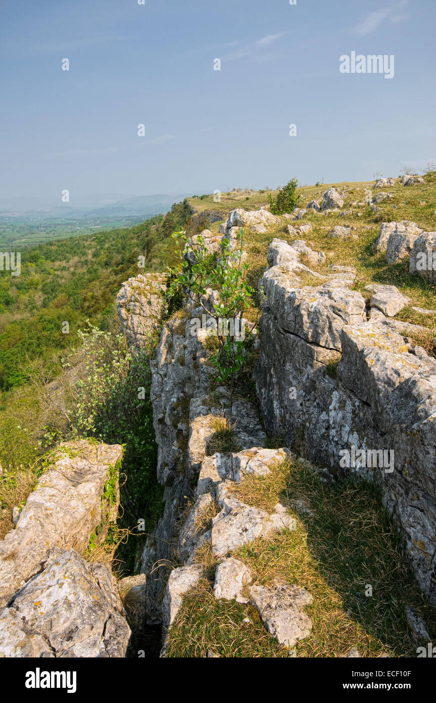 Scout Scar in the Lake District National Park, Cumbria Stock Photo - Alamy