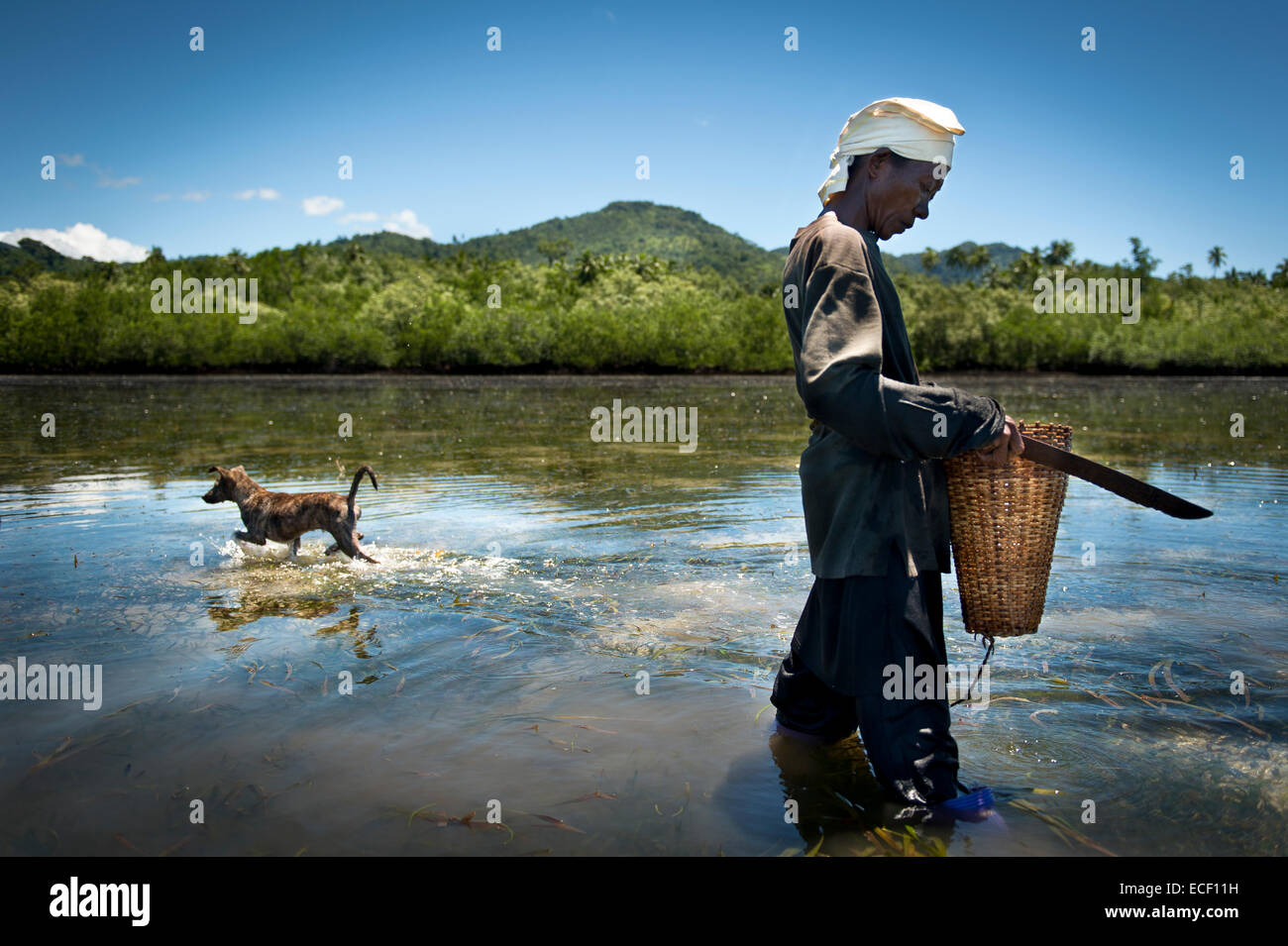 Seaweed collecting hi-res stock photography and images - Alamy