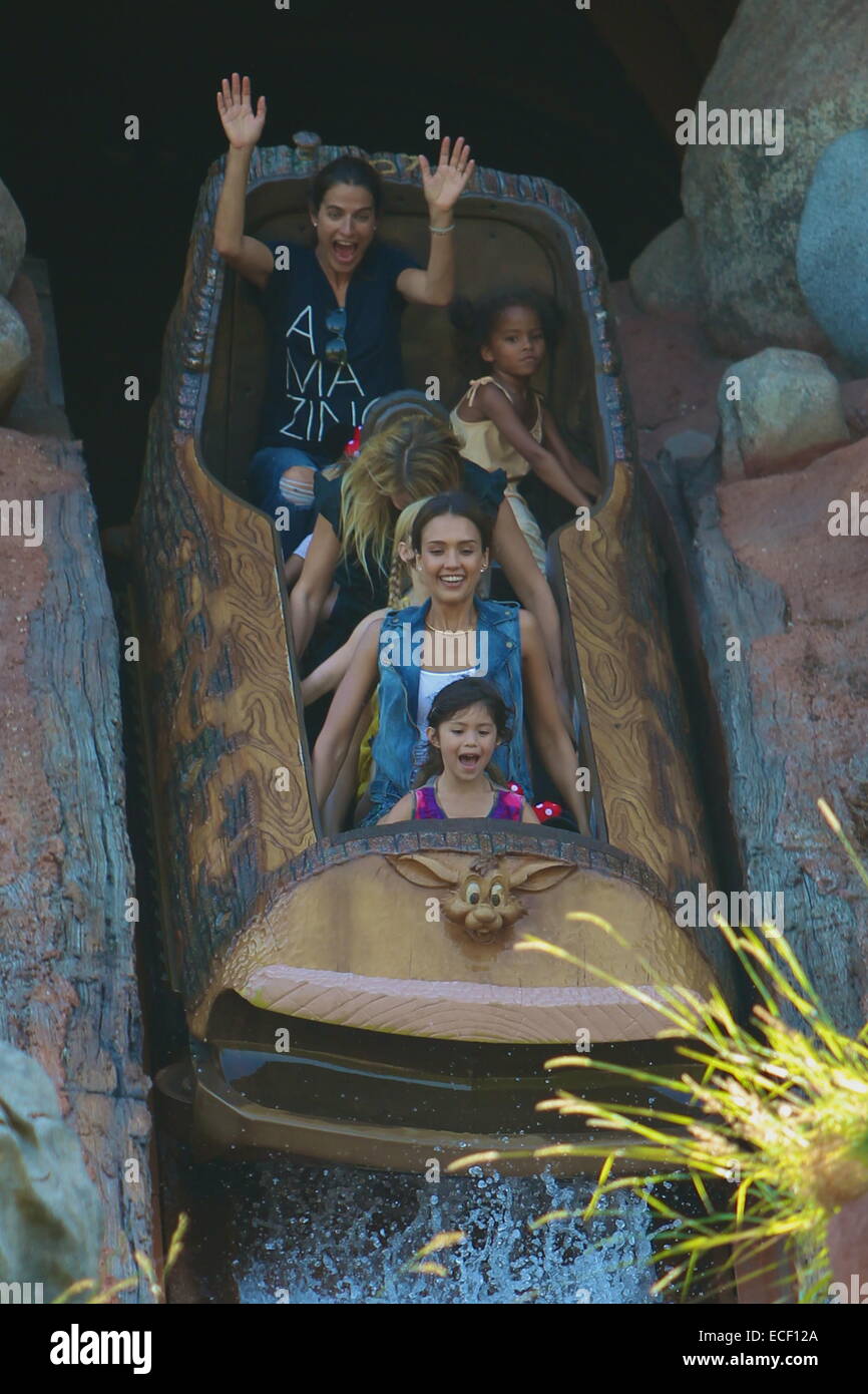 Celebrity Splash Mountain Pictures