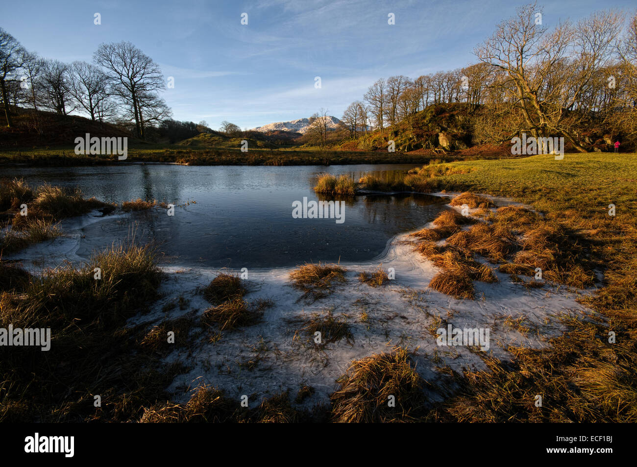 The River Brathay at Elterwater in the Lake District National Park ...