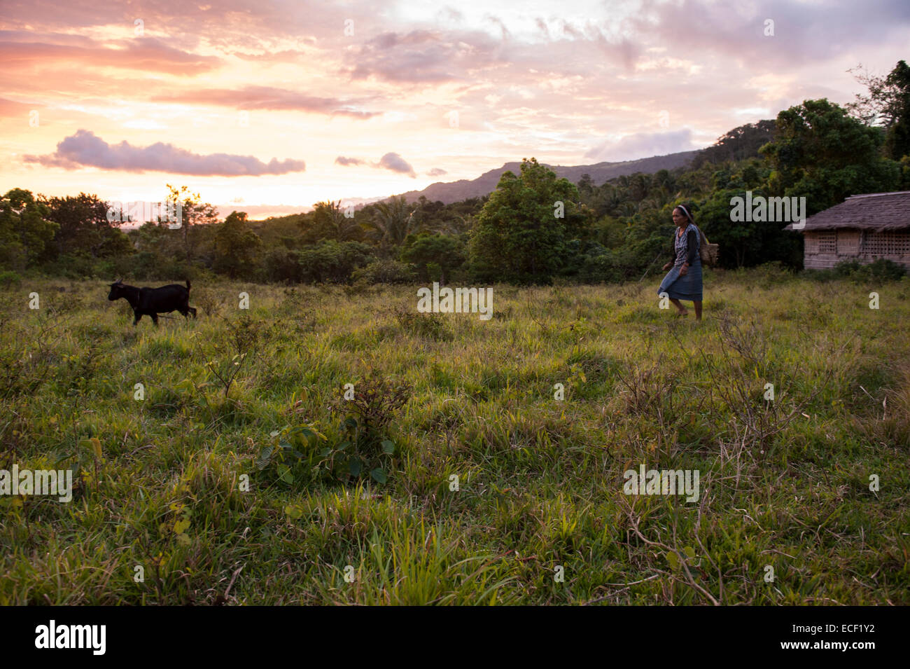 Mangyan tribe hi-res stock photography and images - Alamy