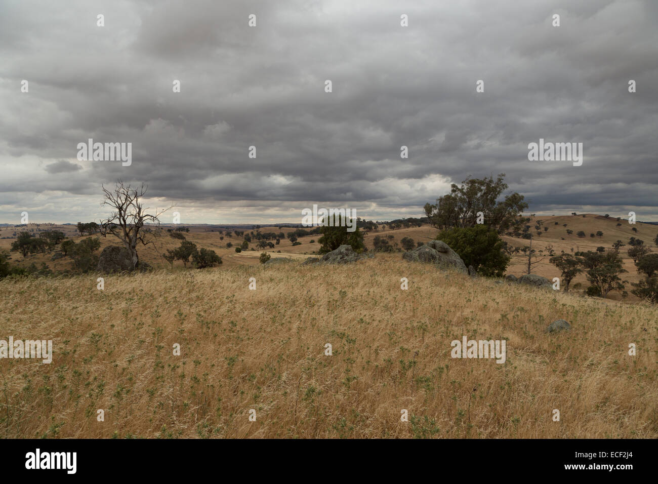 A photograph of some grey rain clouds above a very dry drought affected ...