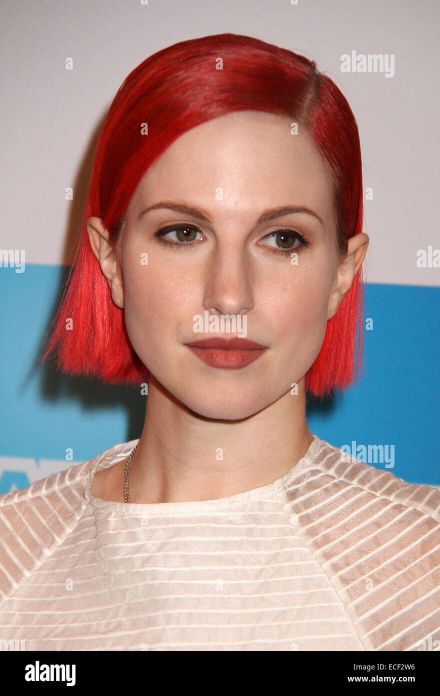 New York, USA. 12th Dec, 2014. Singer HAYLEY WILLIAMS attends the 2014 ...