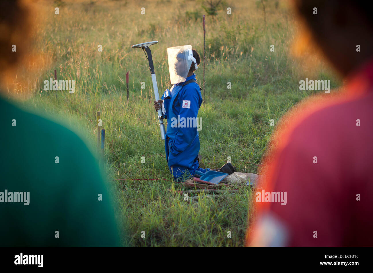 Mine detection team hi-res stock photography and images - Alamy