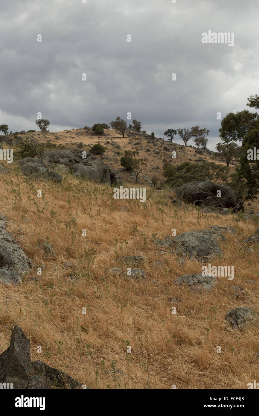 A photograph of some grey rain clouds above a very dry drought affected ...