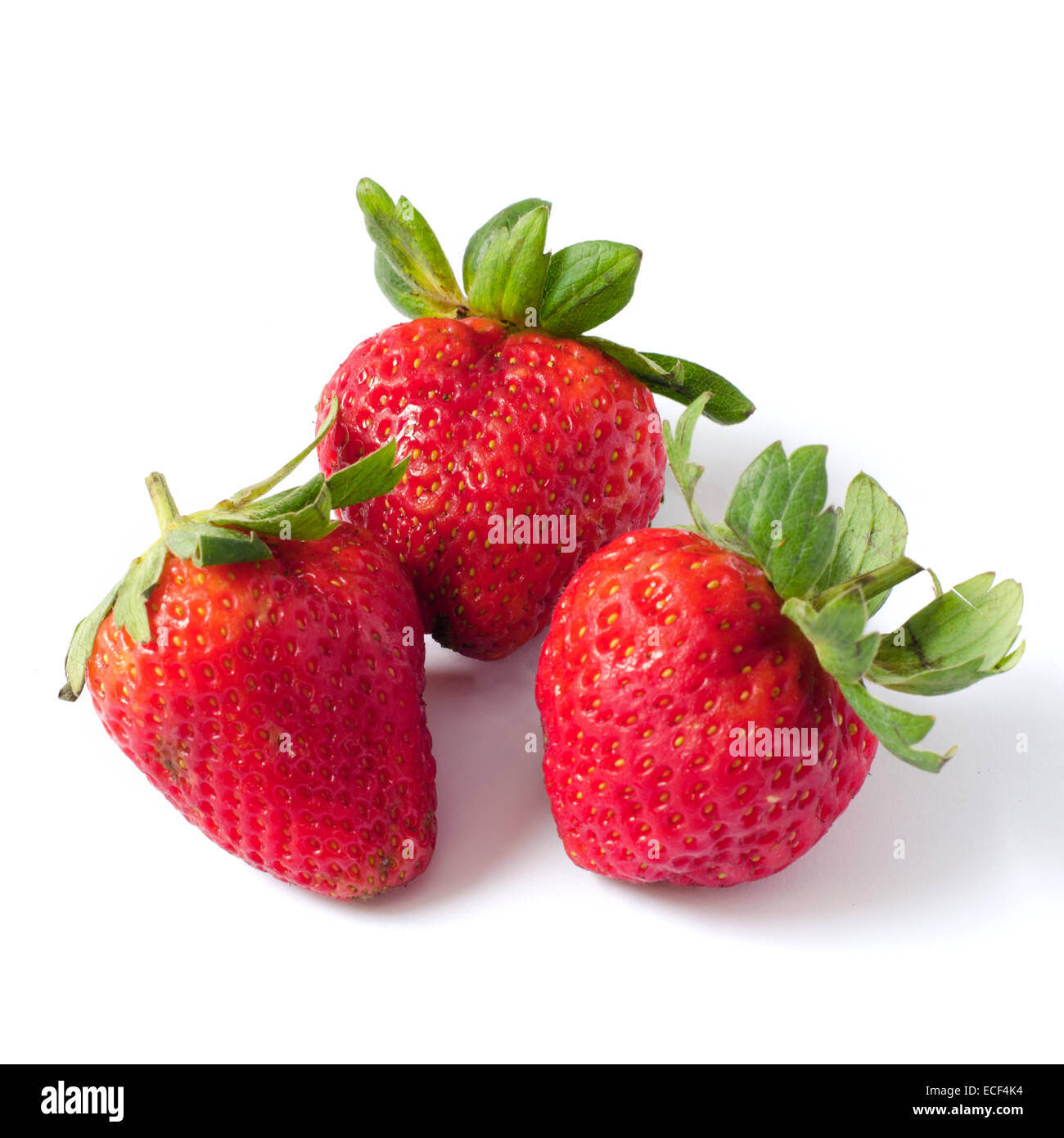 Three strawberries with leaves on a white background Stock Photo - Alamy