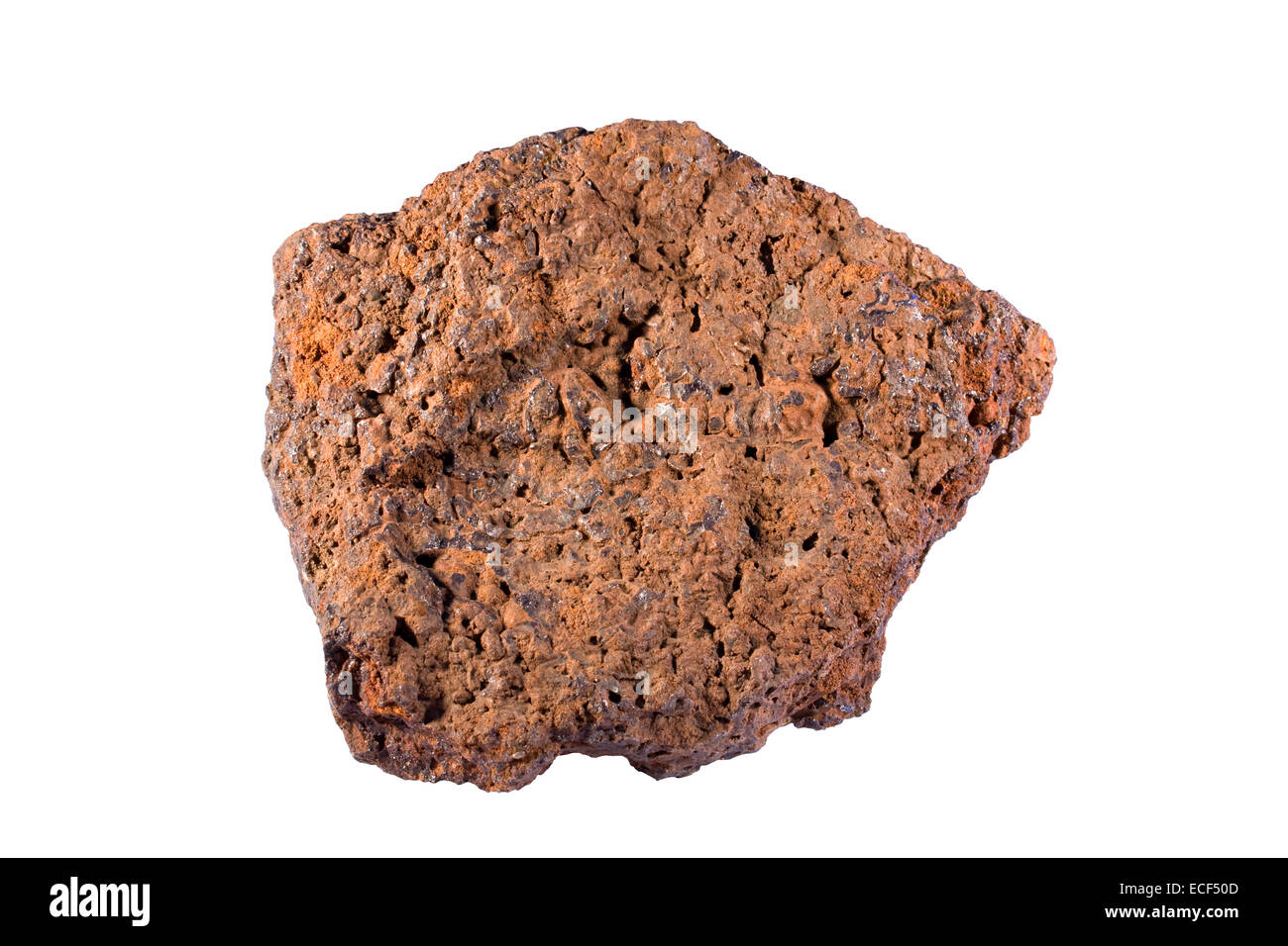 Bog iron (composed of minerals goethite and hematite Stock Photo - Alamy