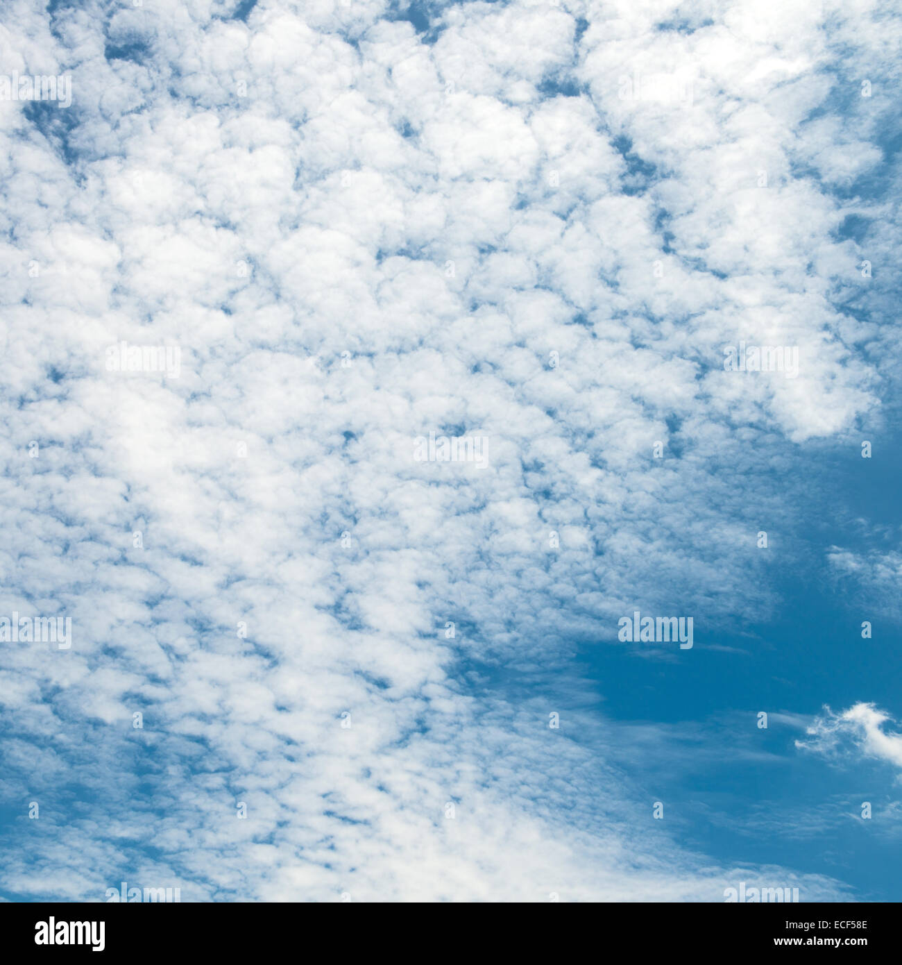 The blue sky and white fluffy clouds Stock Photo - Alamy
