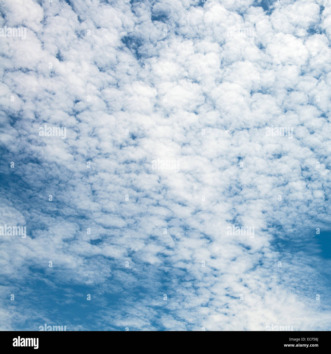 The blue sky and white fluffy clouds Stock Photo - Alamy