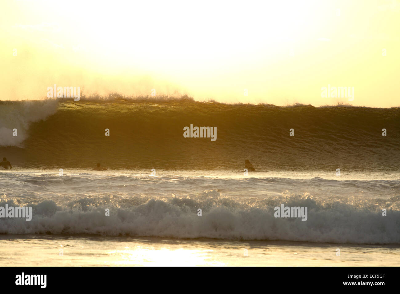 Surfing a wave at sunset at Nembrala on Rote Island, Indonesia Stock ...