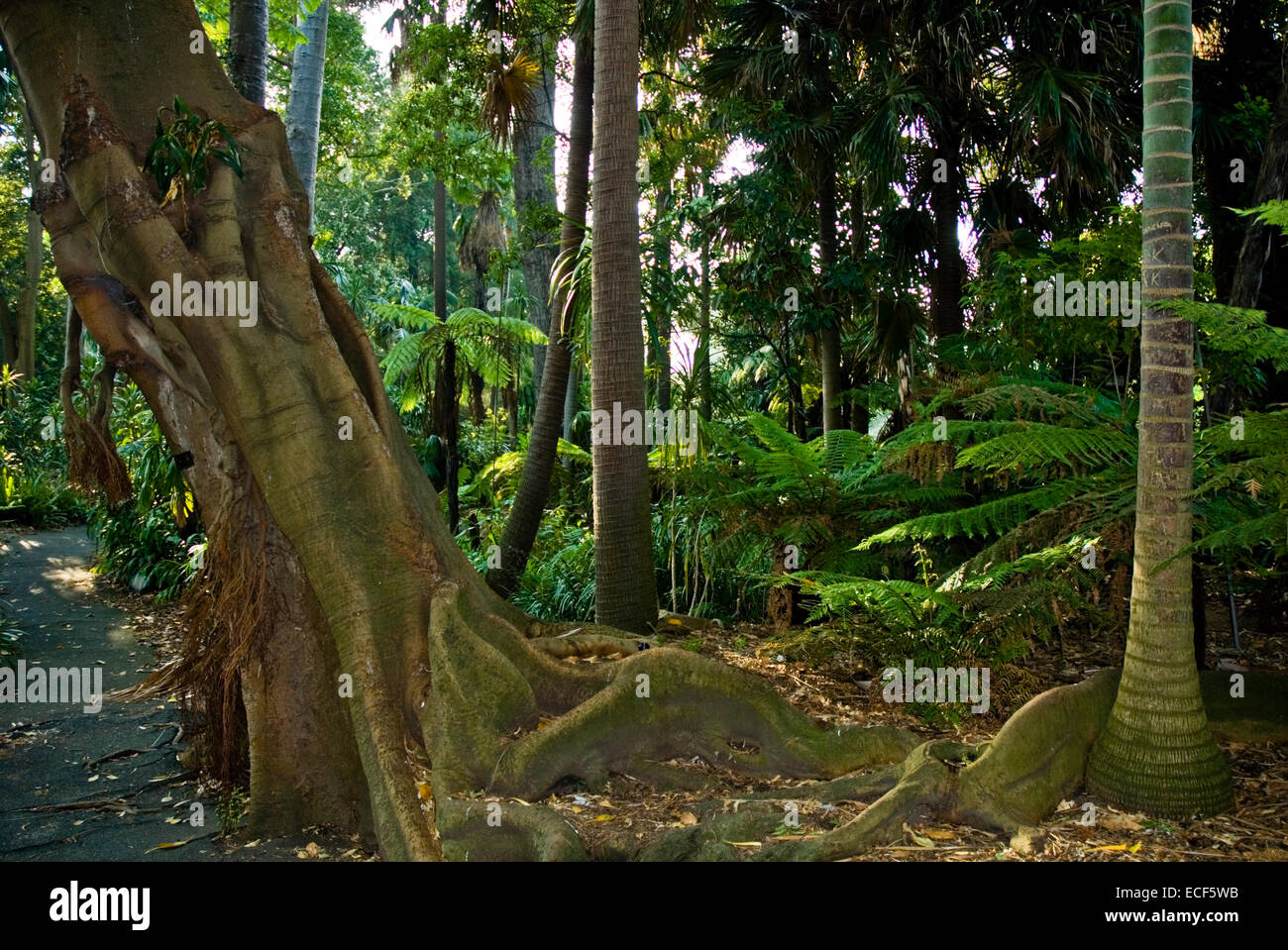 The Royal Botanic Gardens Melbourne,internationally renowned botanical ...