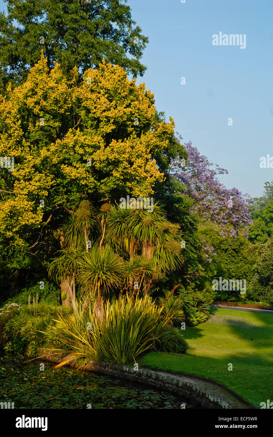 The Royal Botanic Gardens Melbourne,internationally renowned botanical ...