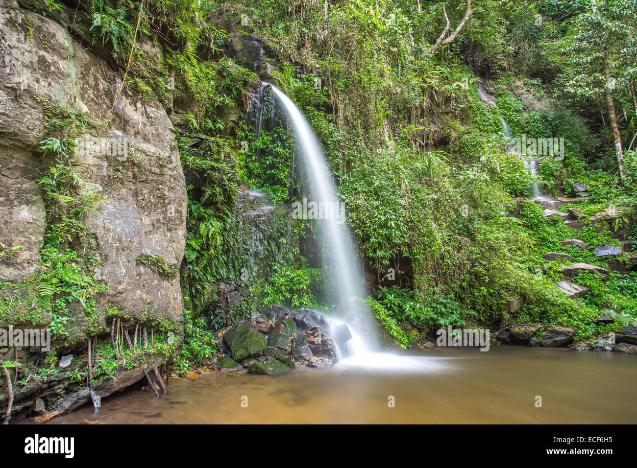 Long exposure shot of a beautiful waterfall in the jungle Stock Photo ...