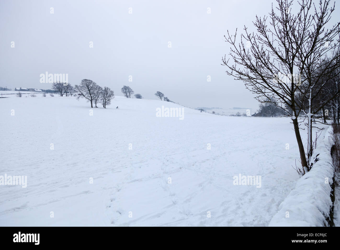Sledging hill hi-res stock photography and images - Alamy