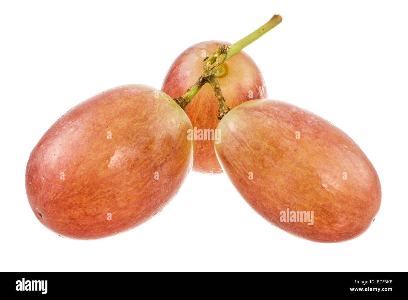 Three grapes hi-res stock photography and images - Alamy