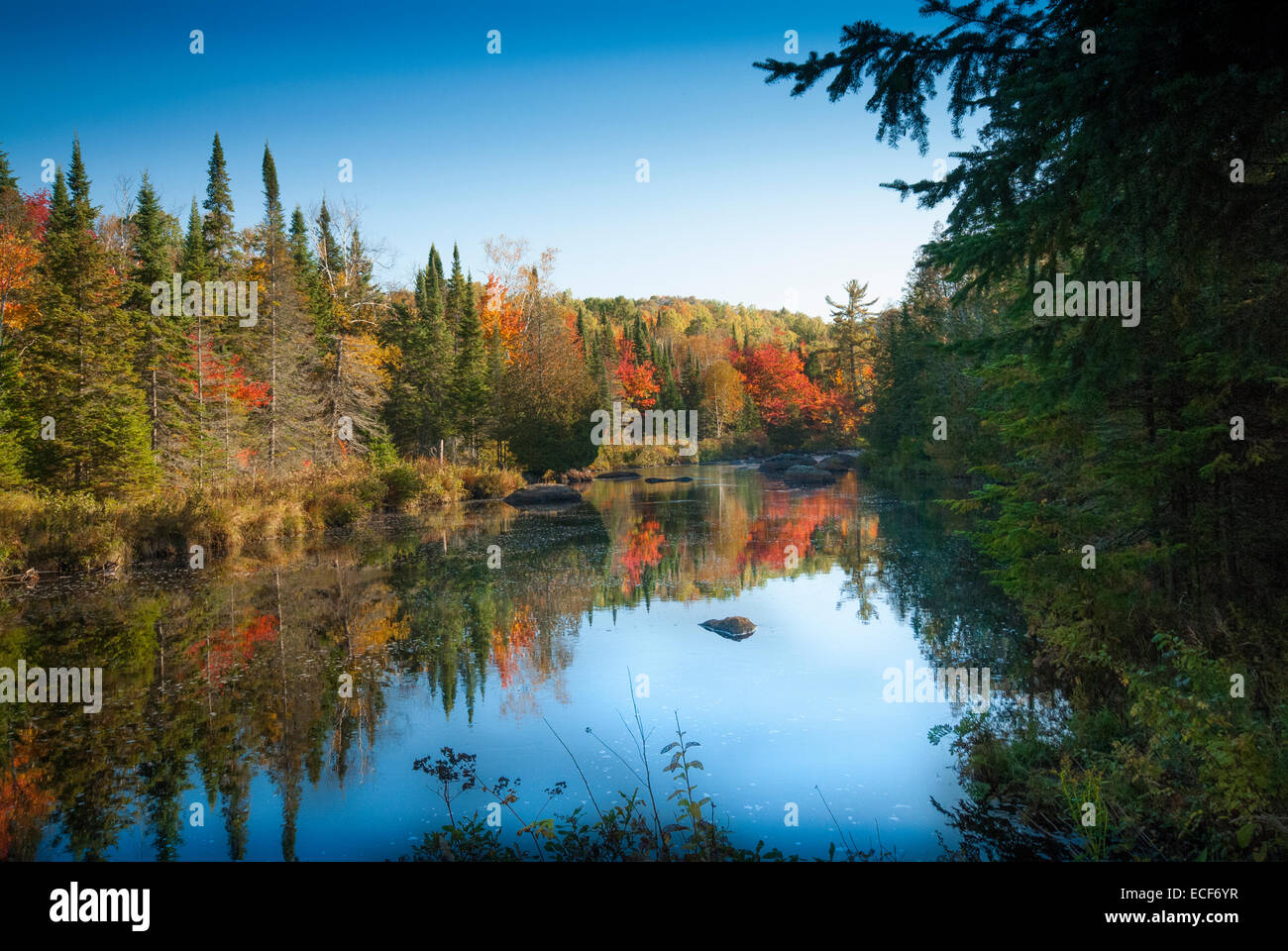 Nature, woods and river in the Fall Stock Photo - Alamy