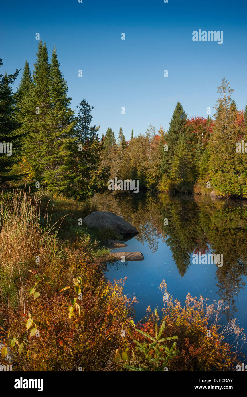Nature, woods and river in the Fall Stock Photo - Alamy