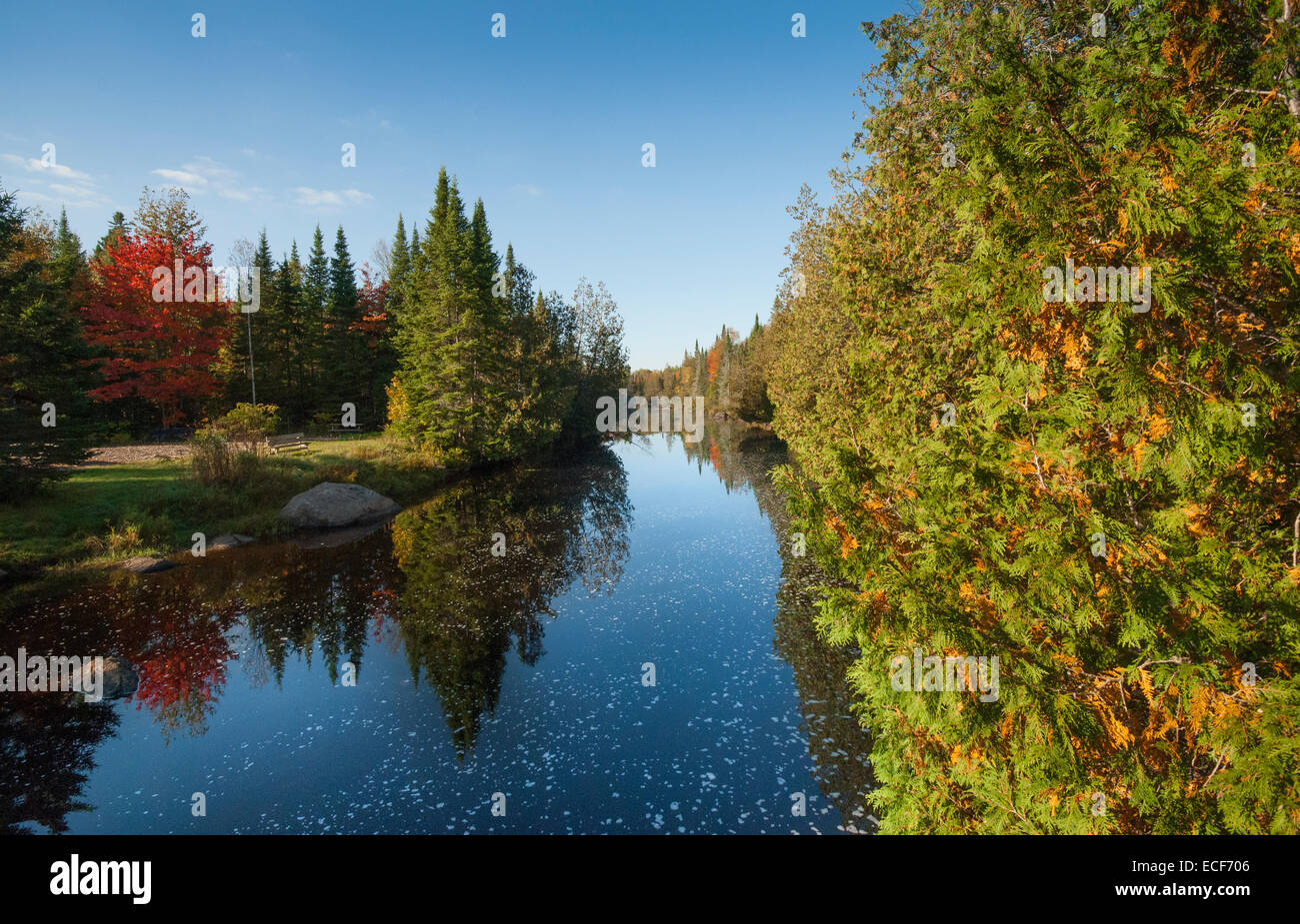 Nature, woods and river in the Fall Stock Photo - Alamy