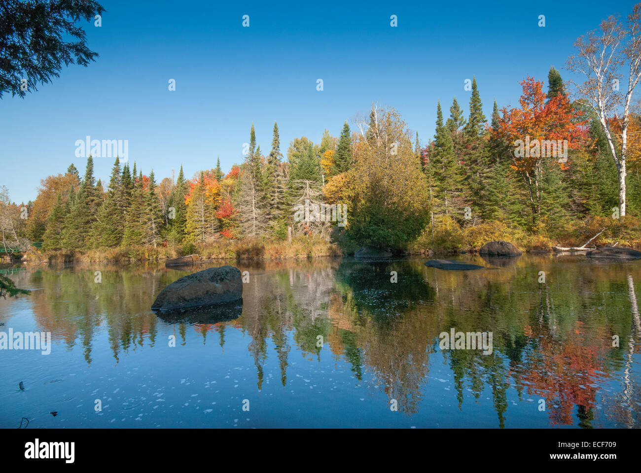 Nature, woods and river in the Fall Stock Photo - Alamy