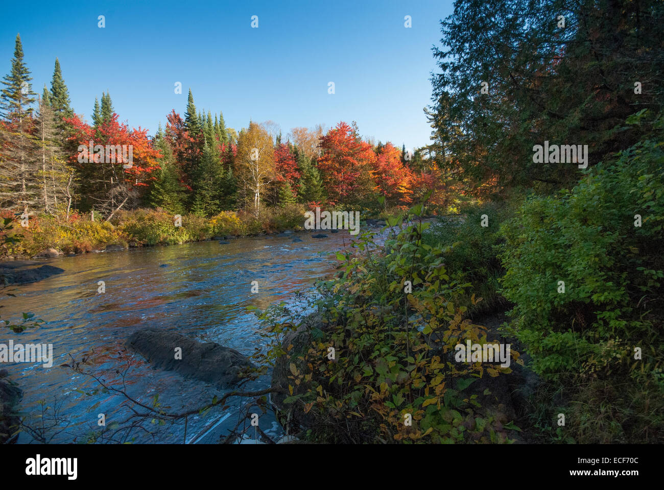 Nature, woods and river in the Fall Stock Photo - Alamy