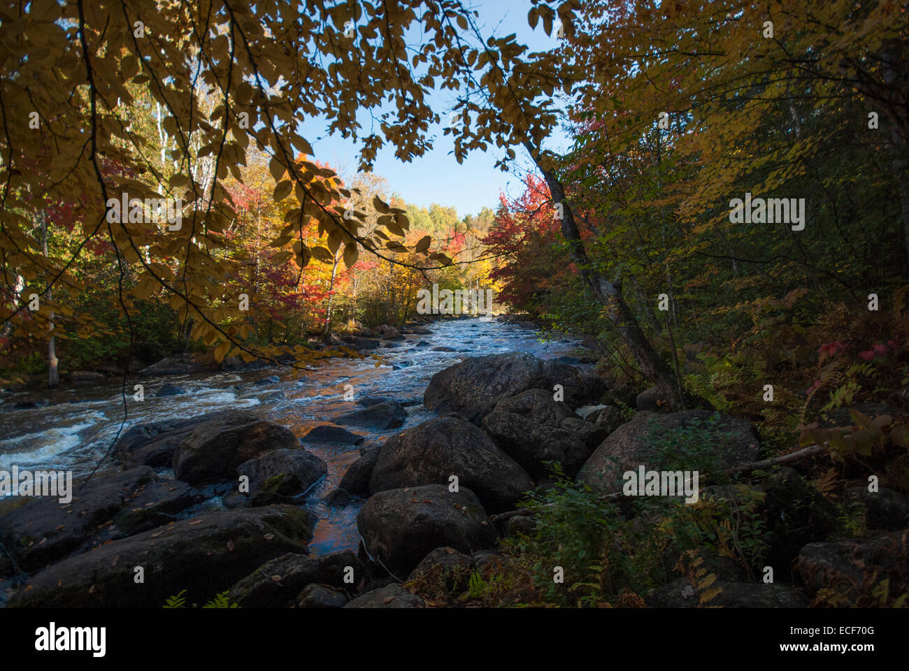 Nature, woods and river in the Fall Stock Photo - Alamy