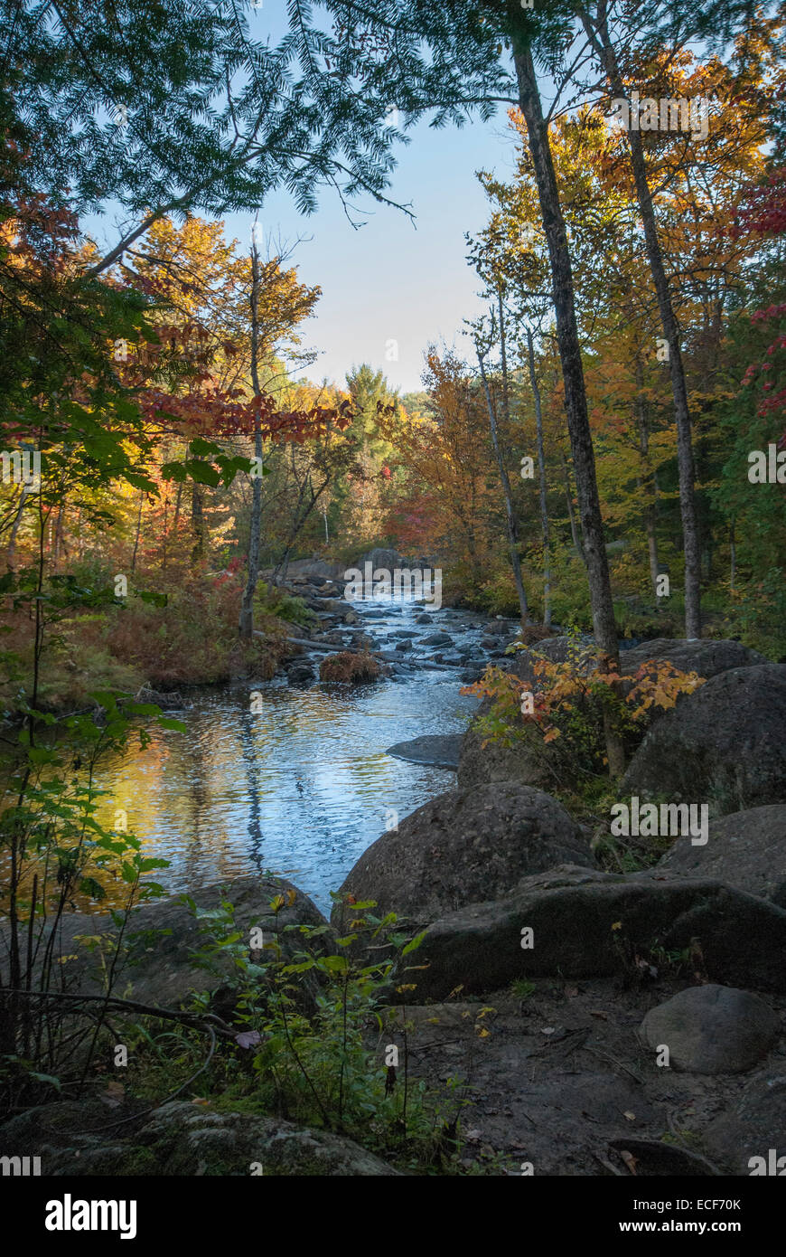 Nature, woods and river in the Fall Stock Photo - Alamy